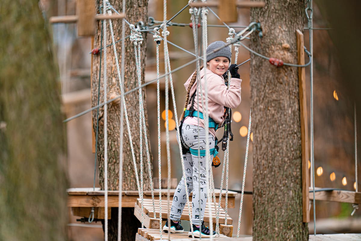 Mystic⼁TreeTrails Adventures, CT