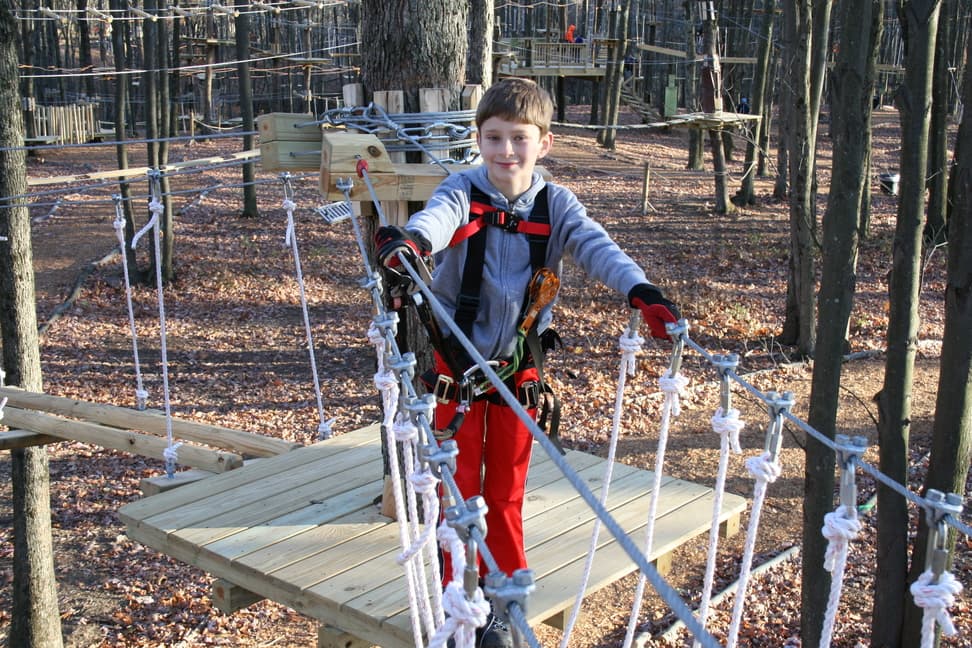 TreeTrails Adventures