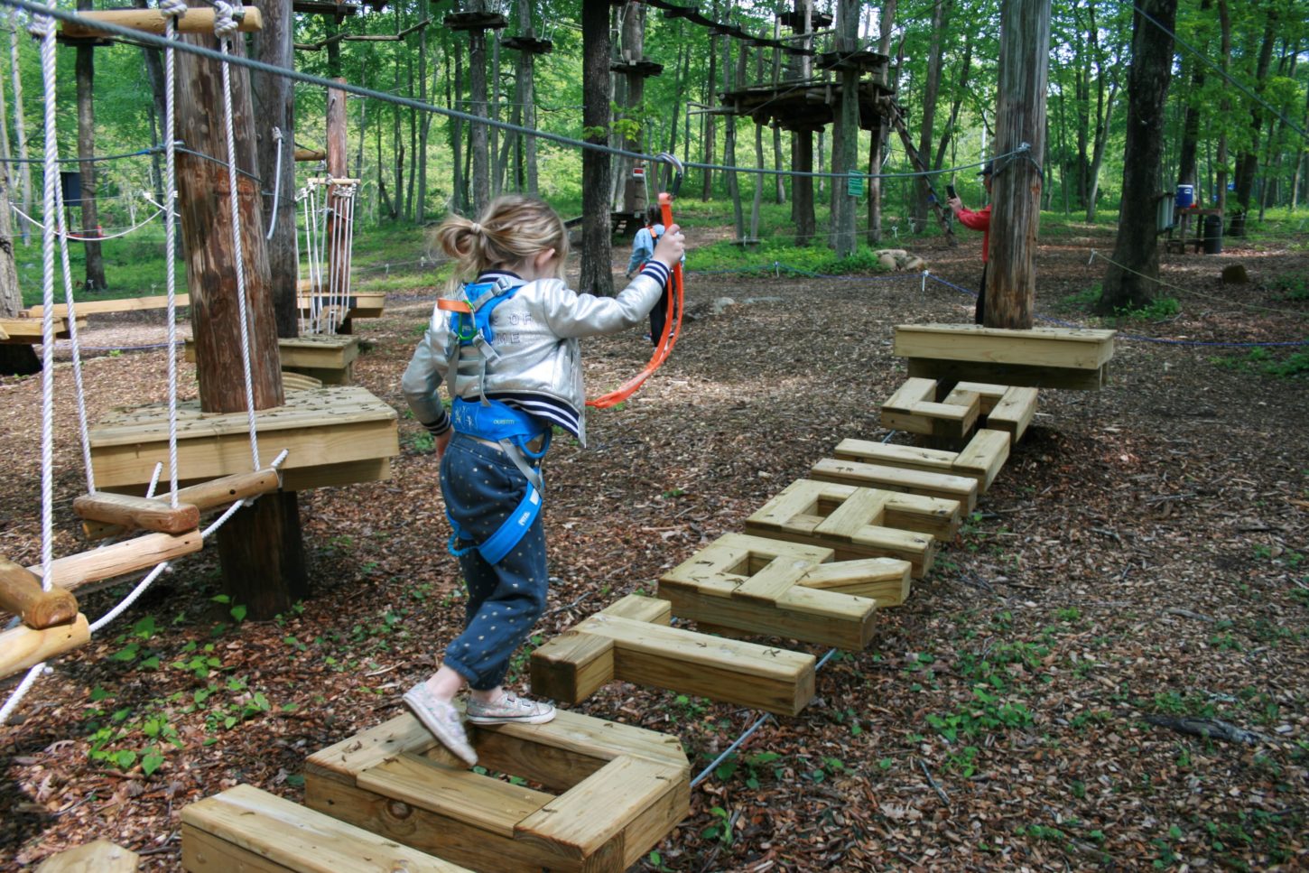 TreeTrails Adventures