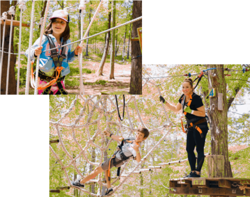 TreeTrails Adventures