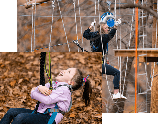 TreeTrails Adventures