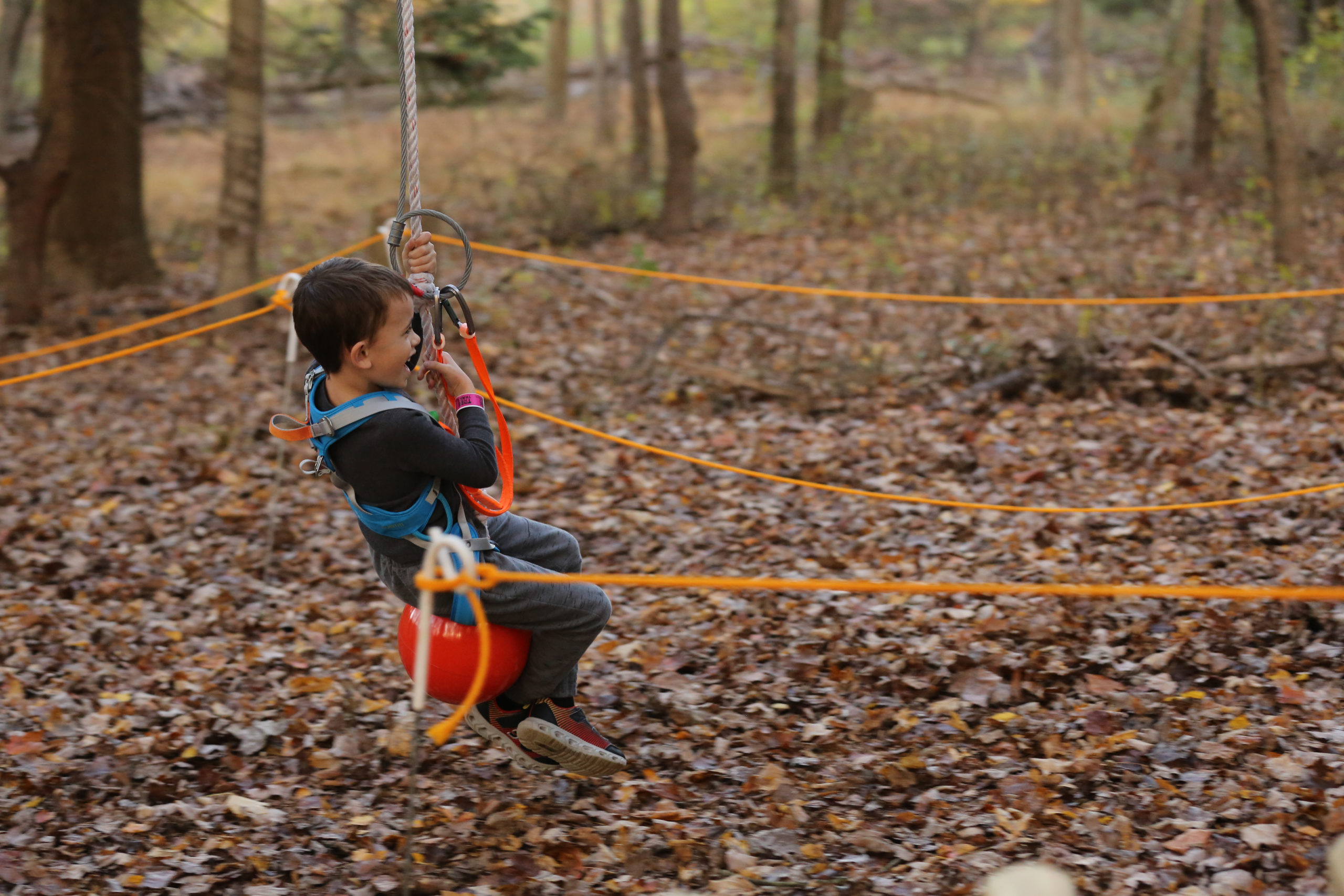Mystic⼁TreeTrails Adventures, CT