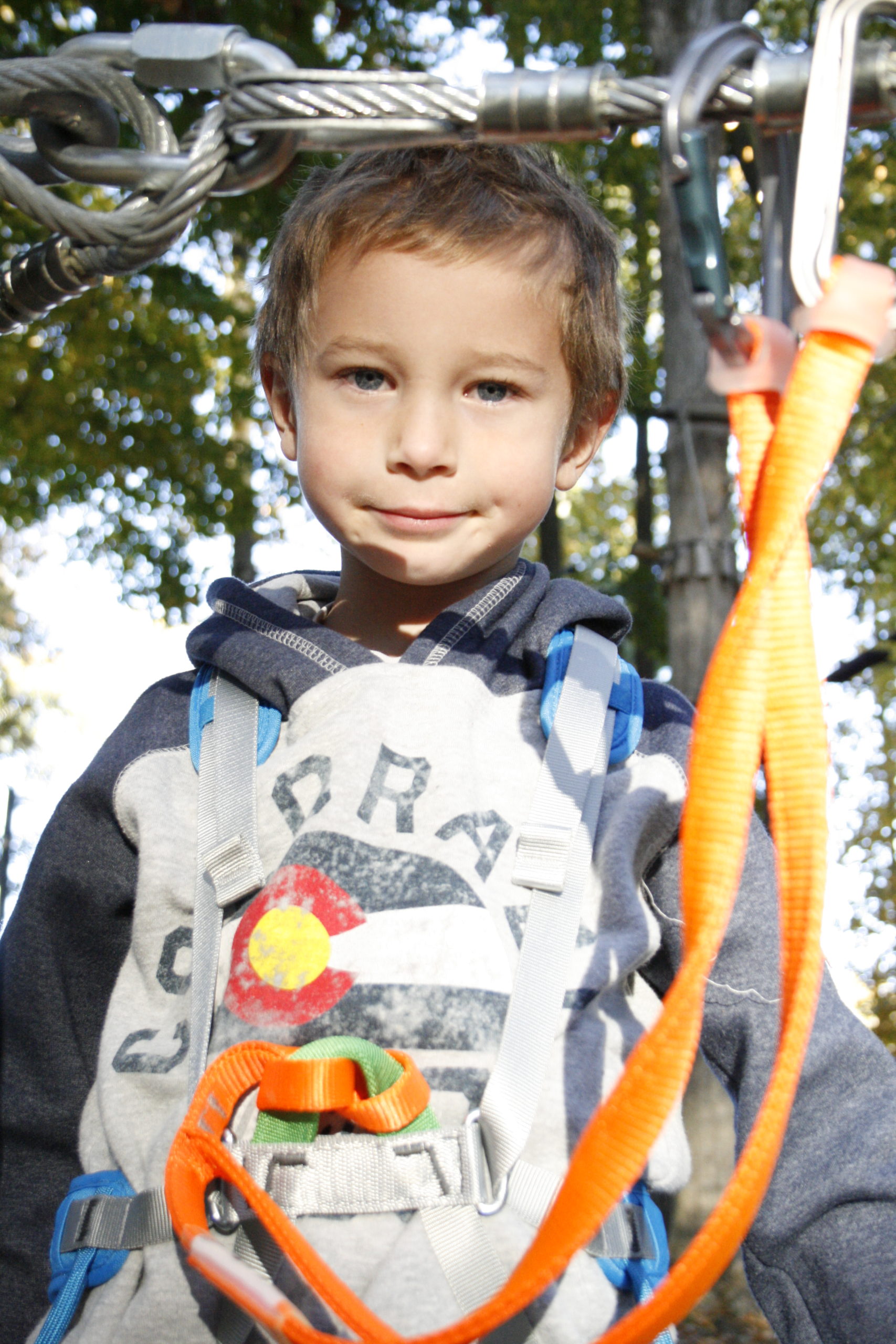 Your Experience⼁TreeTrails Adventures, CT