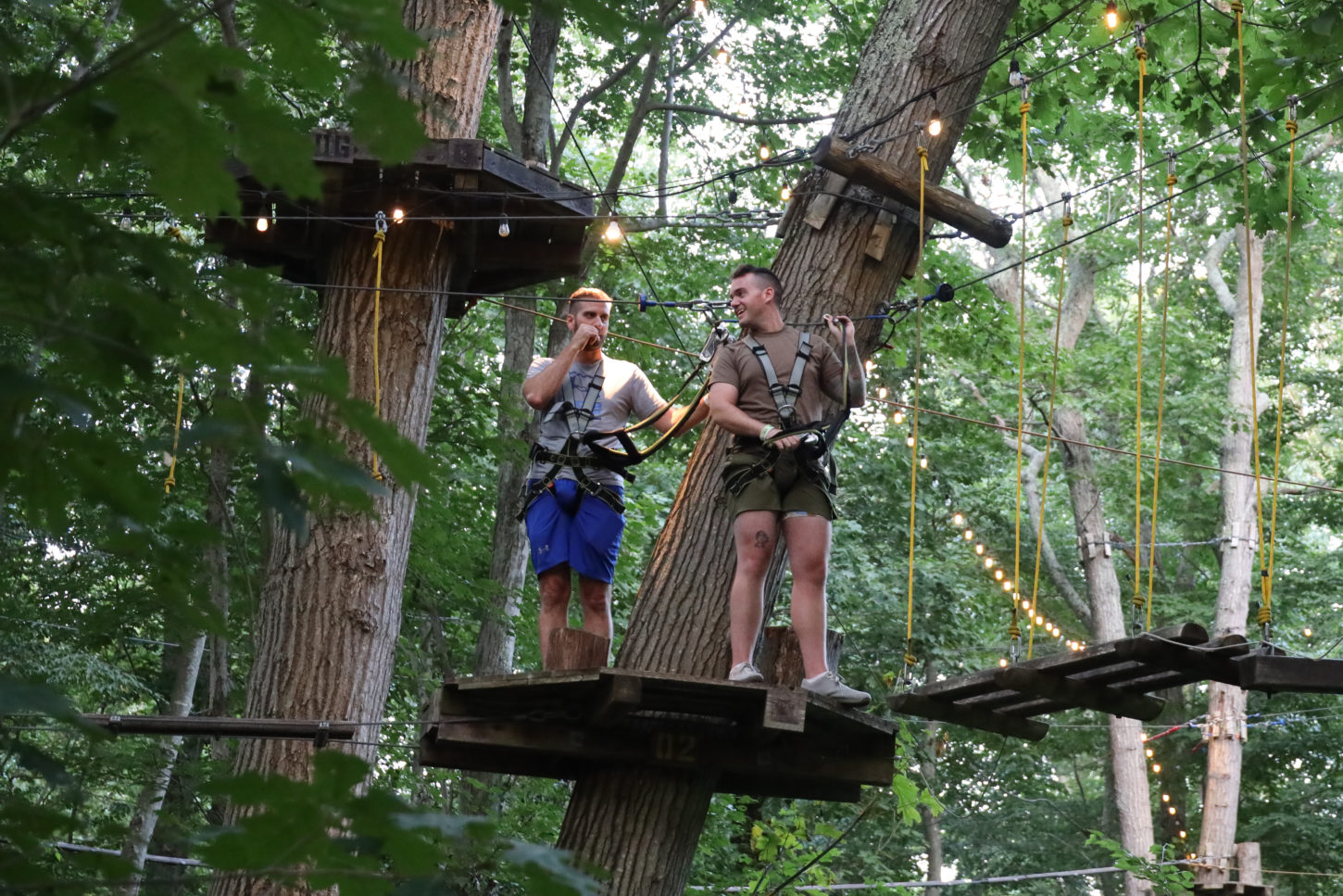 Your Experience⼁TreeTrails Adventures