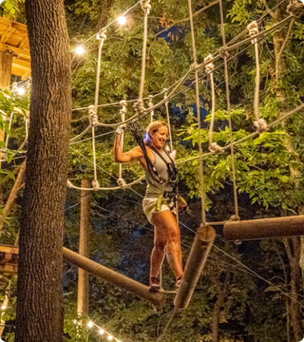 Tree Course Adventures