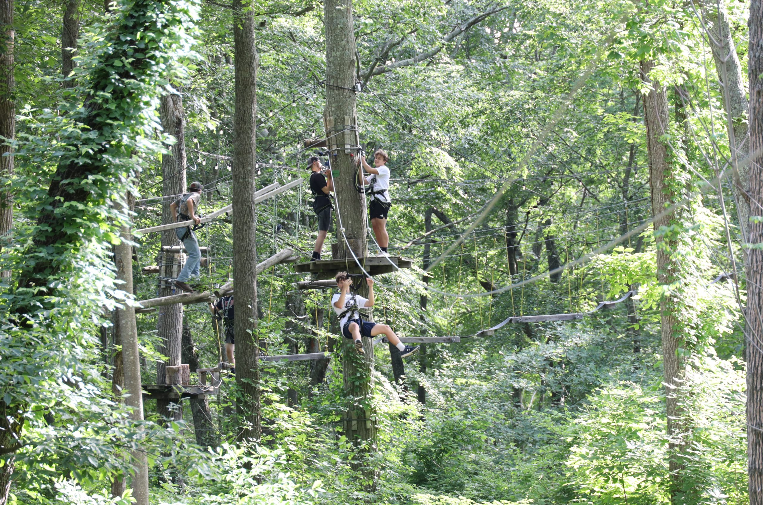Your Visit⼁TreeTrails Adventures, CT