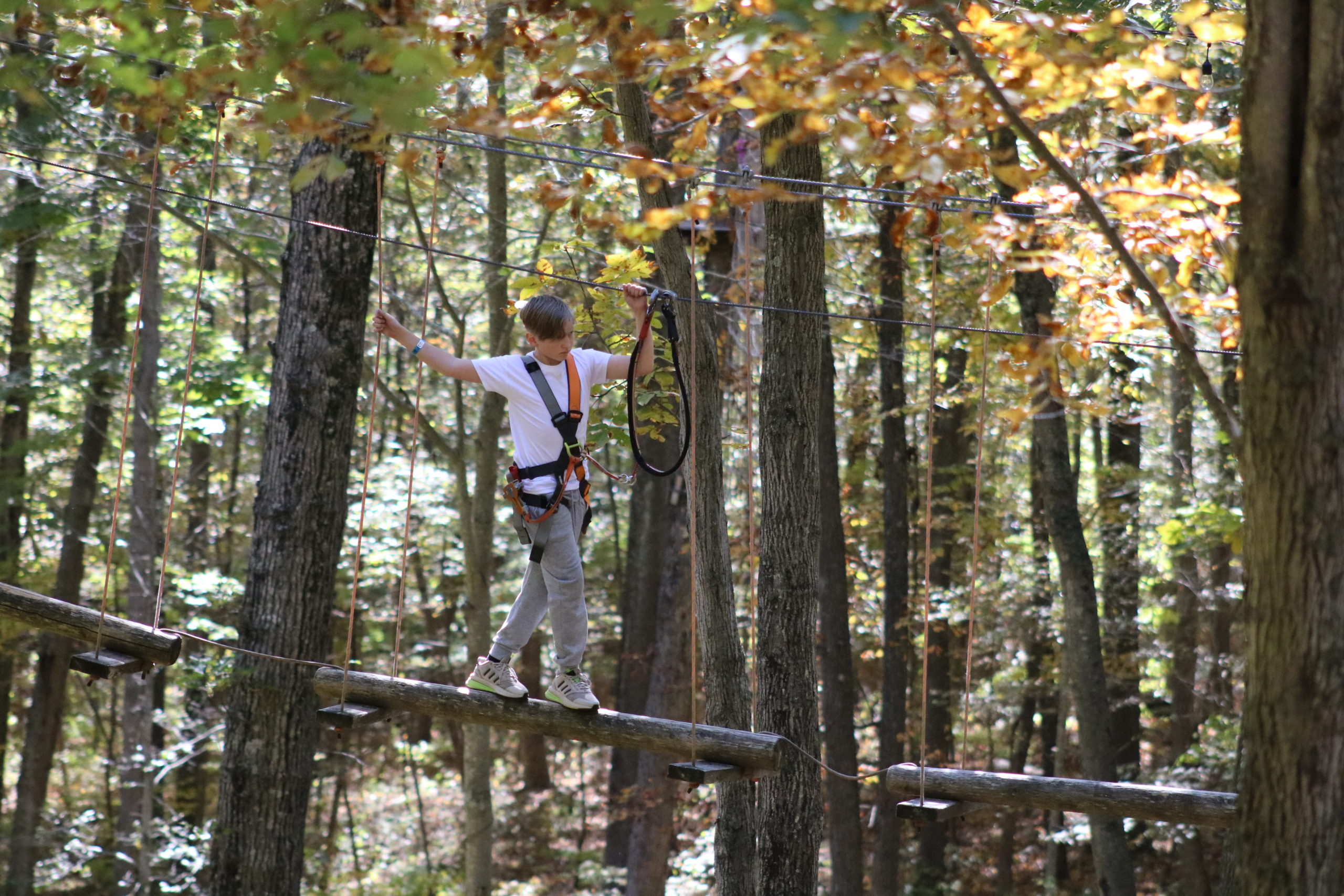 Your Visit⼁TreeTrails Adventures, CT