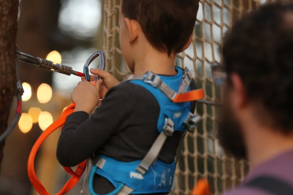 Your Experience⼁TreeTrails Adventures, CT