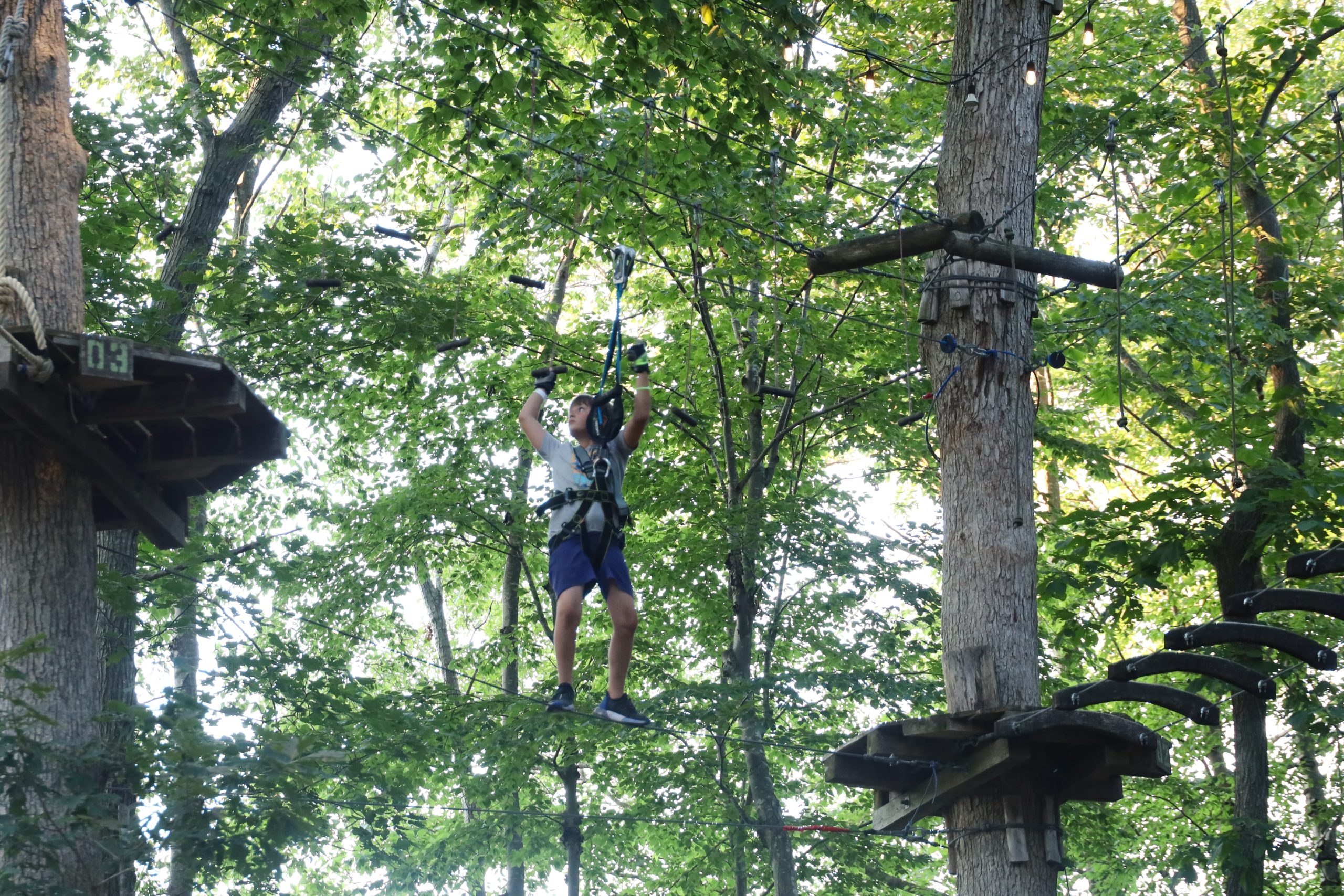 Mystic⼁TreeTrails Adventures, CT