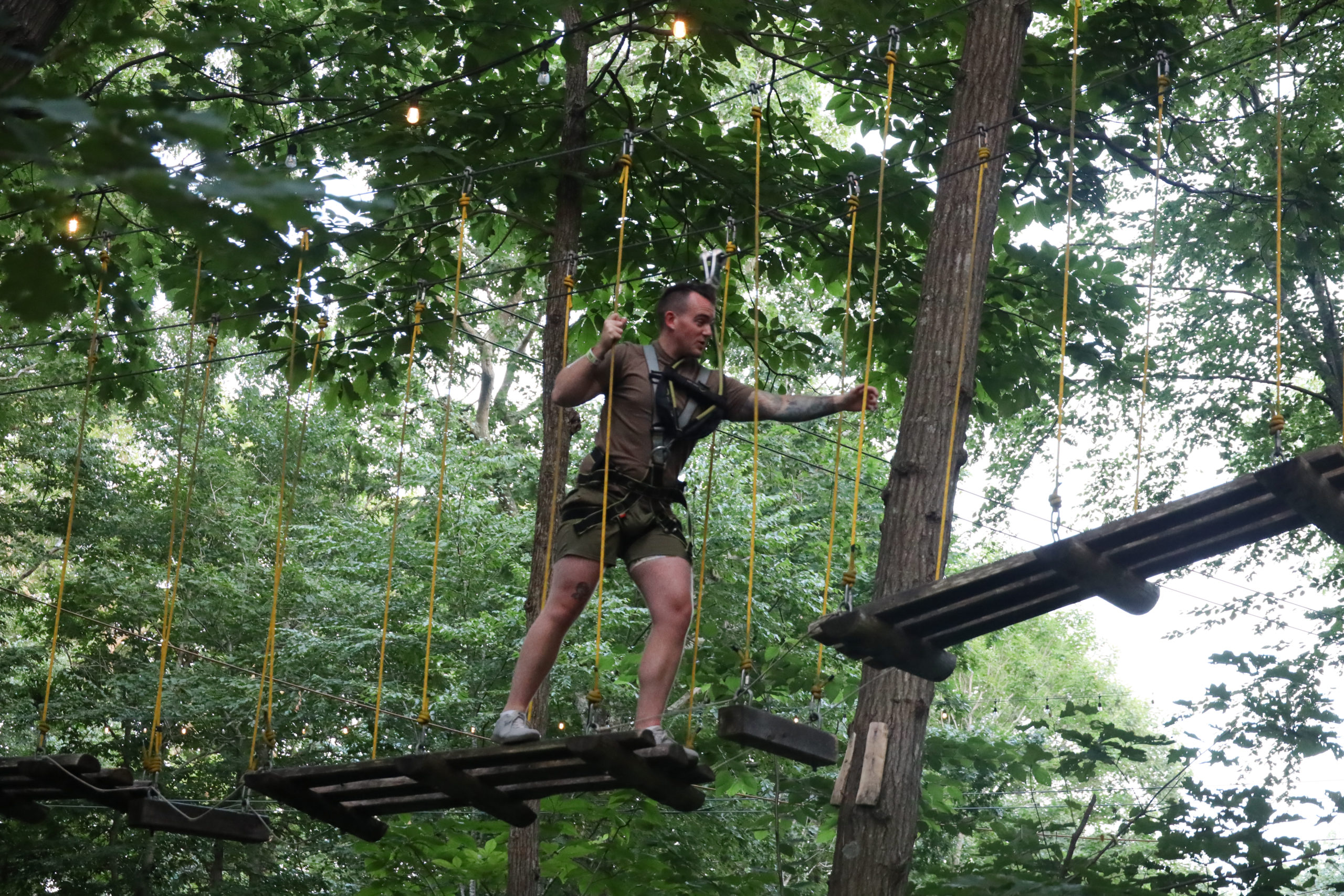 Your Visit⼁TreeTrails Adventures, PA