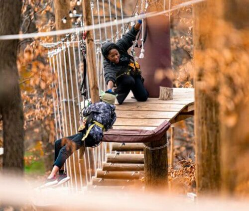 Private Climbs⼁TreeTrails Adventures, CT