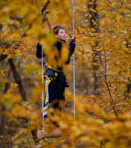 TreeTrails Adventures, Trevose, Philadelphia