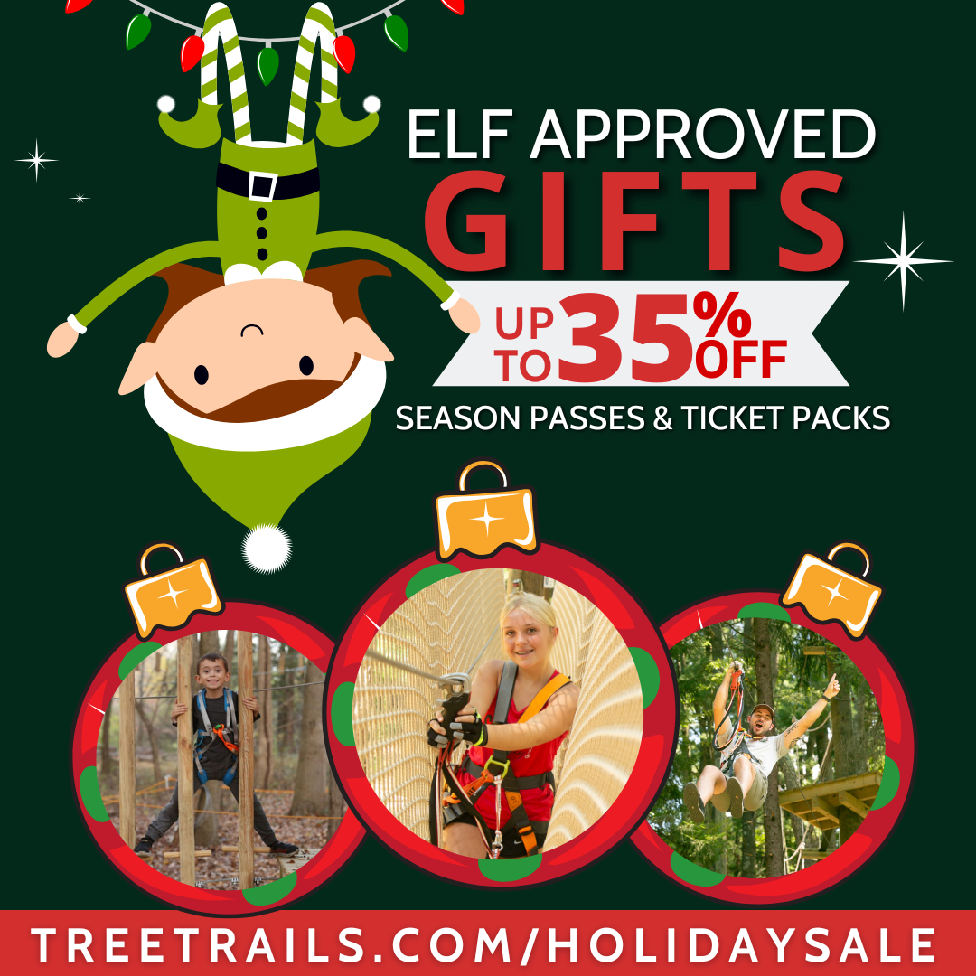 Mystic⼁TreeTrails Adventures, CT