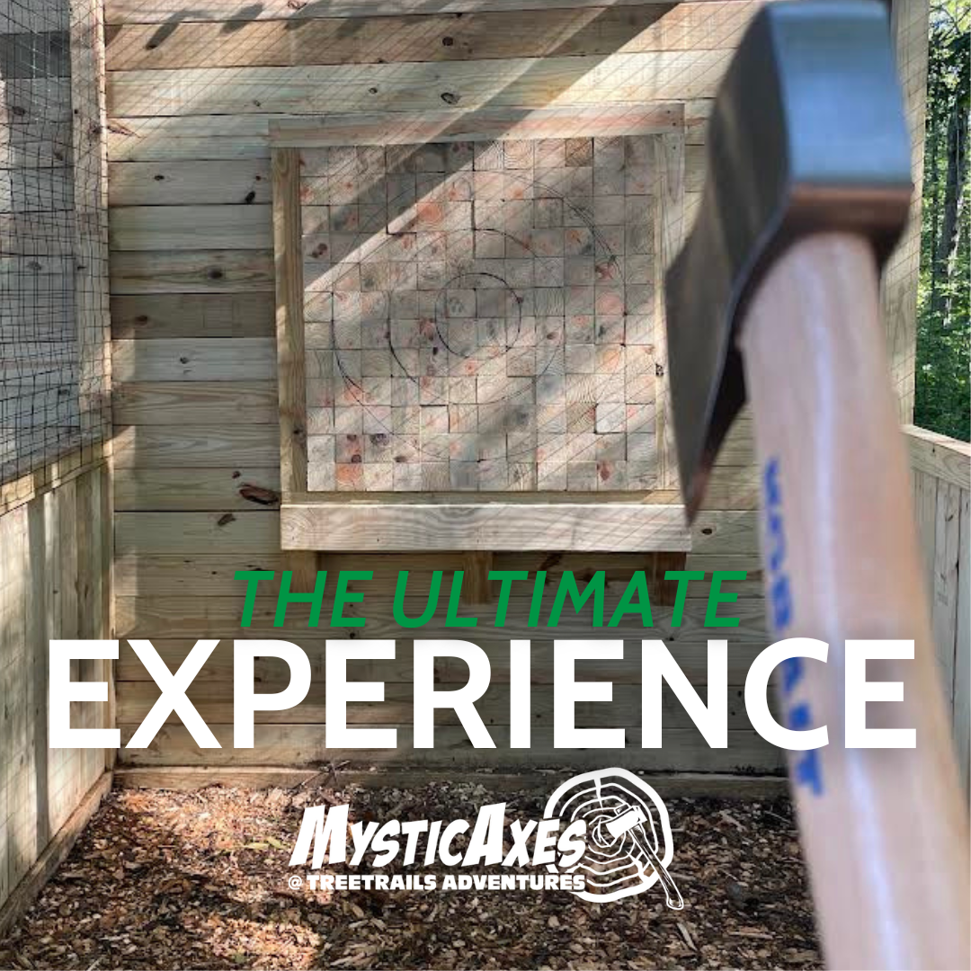 Mystic⼁TreeTrails Adventures, CT