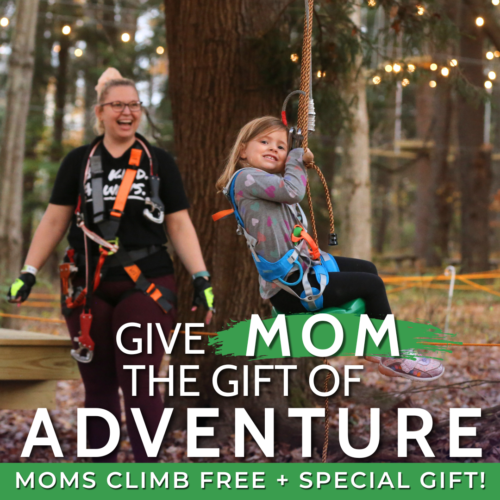 Mystic⼁TreeTrails Adventures, CT