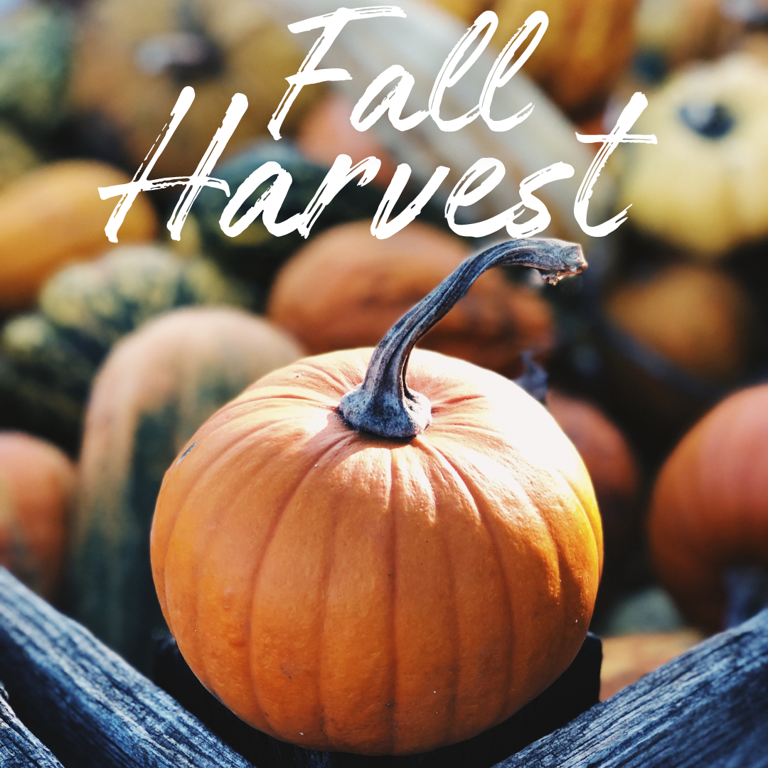 TreeTrails Adventures, Trevose, Philadelphia