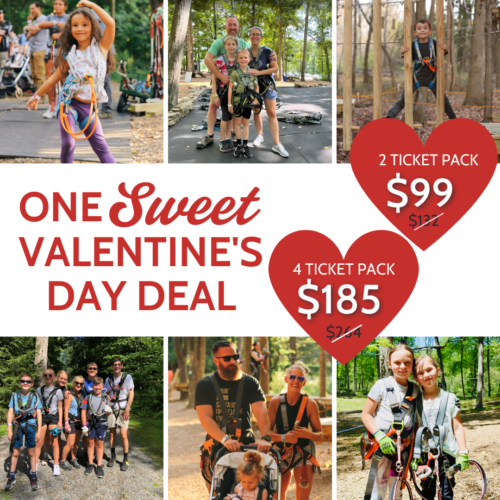 Mystic⼁TreeTrails Adventures, CT