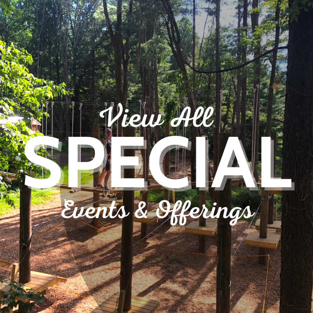 Mystic⼁TreeTrails Adventures, CT