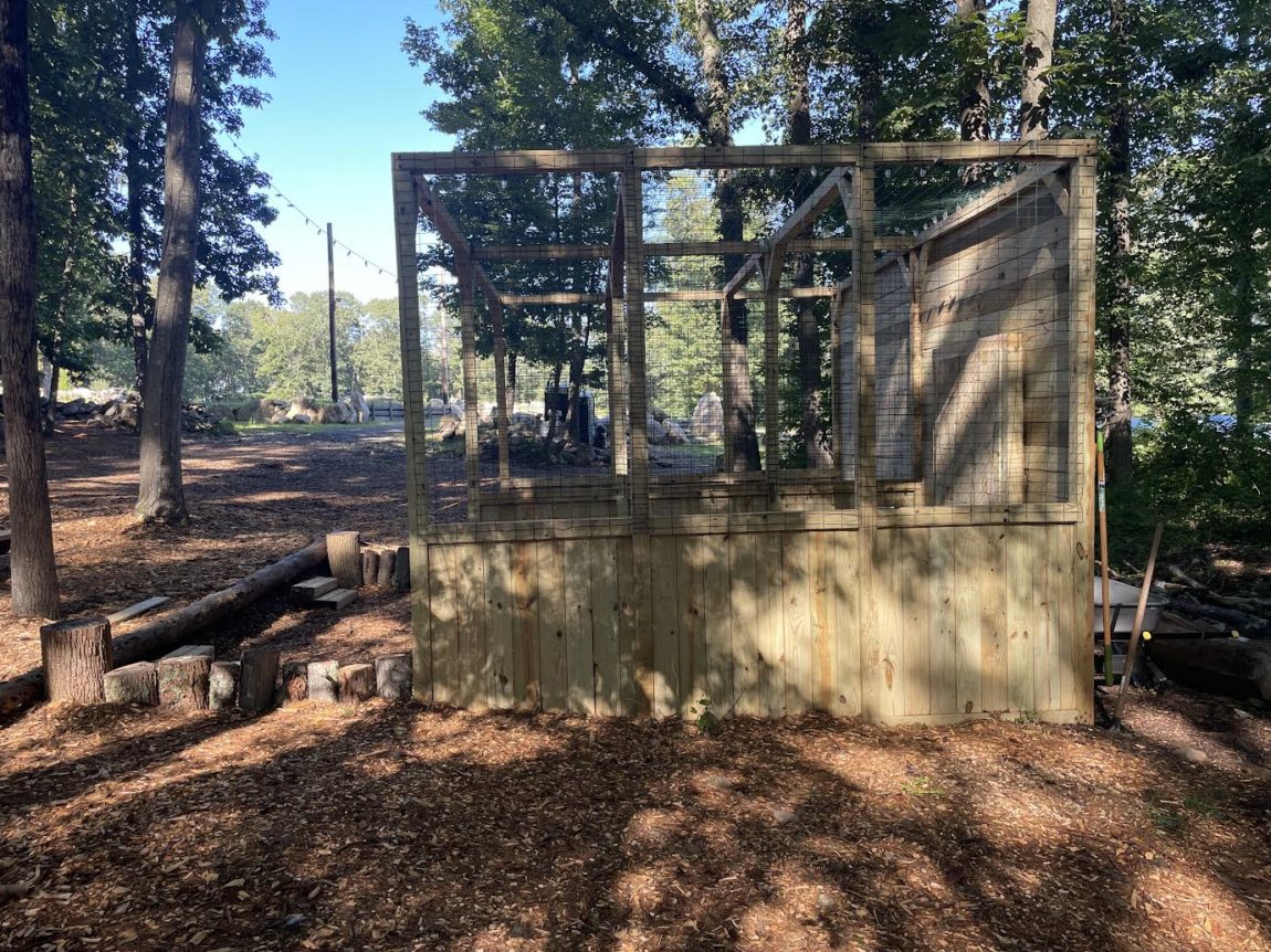 Axe Throwing⼁TreeTrails Adventures, CT