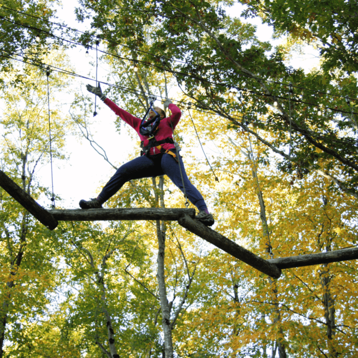 Season Passes⼁TreeTrails Adventures, PA