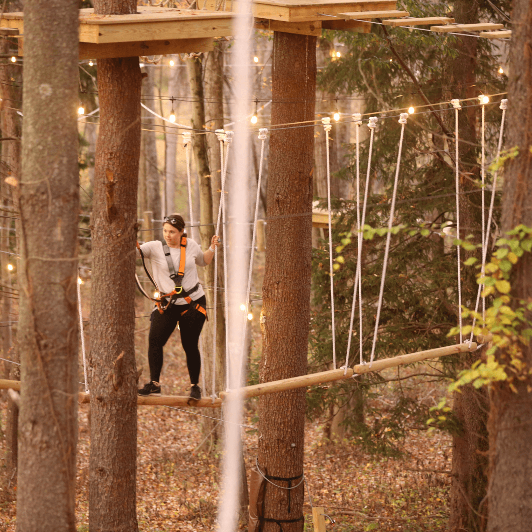 Your Experience⼁TreeTrails Adventures, CT