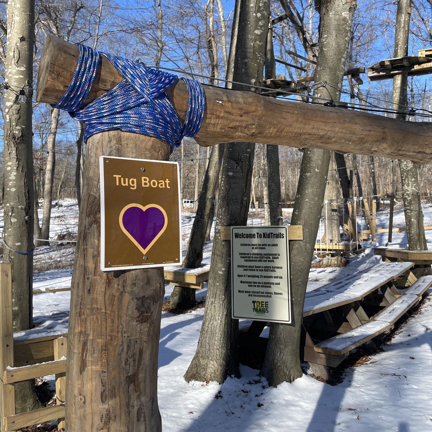 Courses - Mystic⼁TreeTrails Adventures, CT