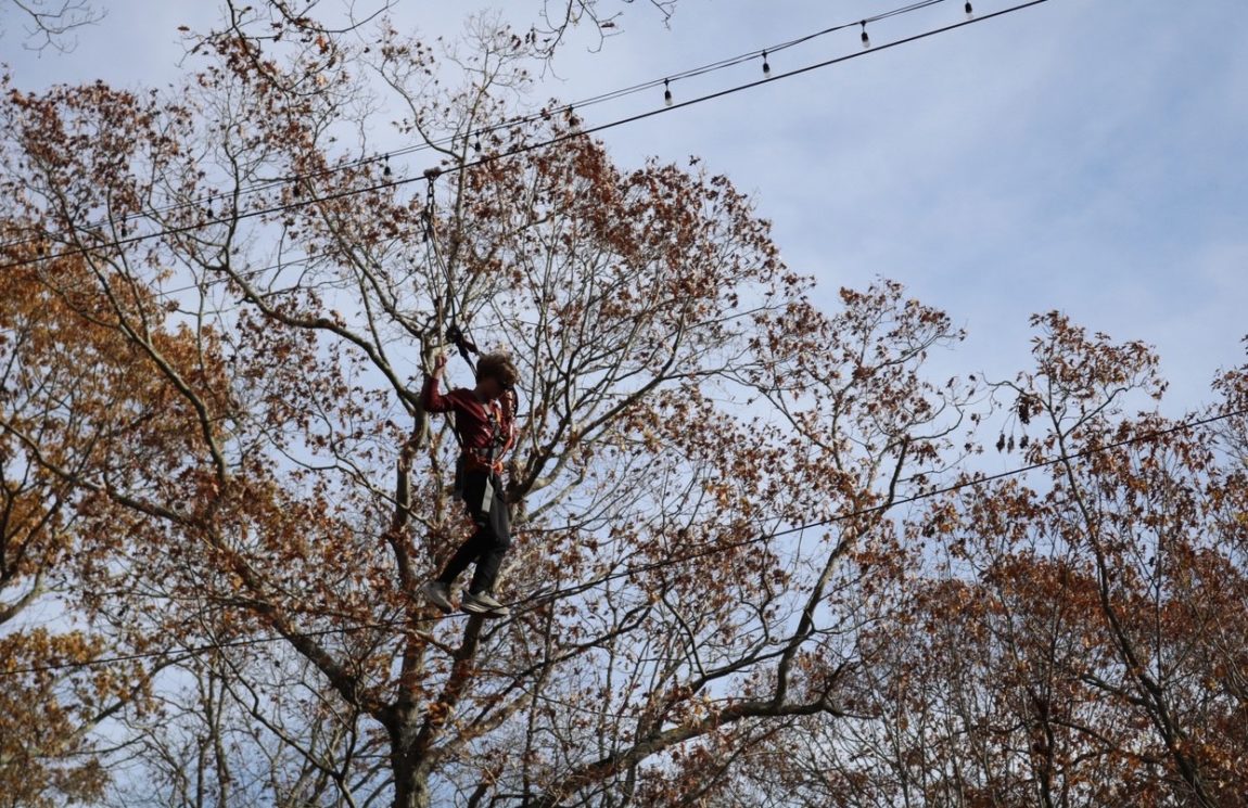 Courses - Mystic⼁TreeTrails Adventures, CT