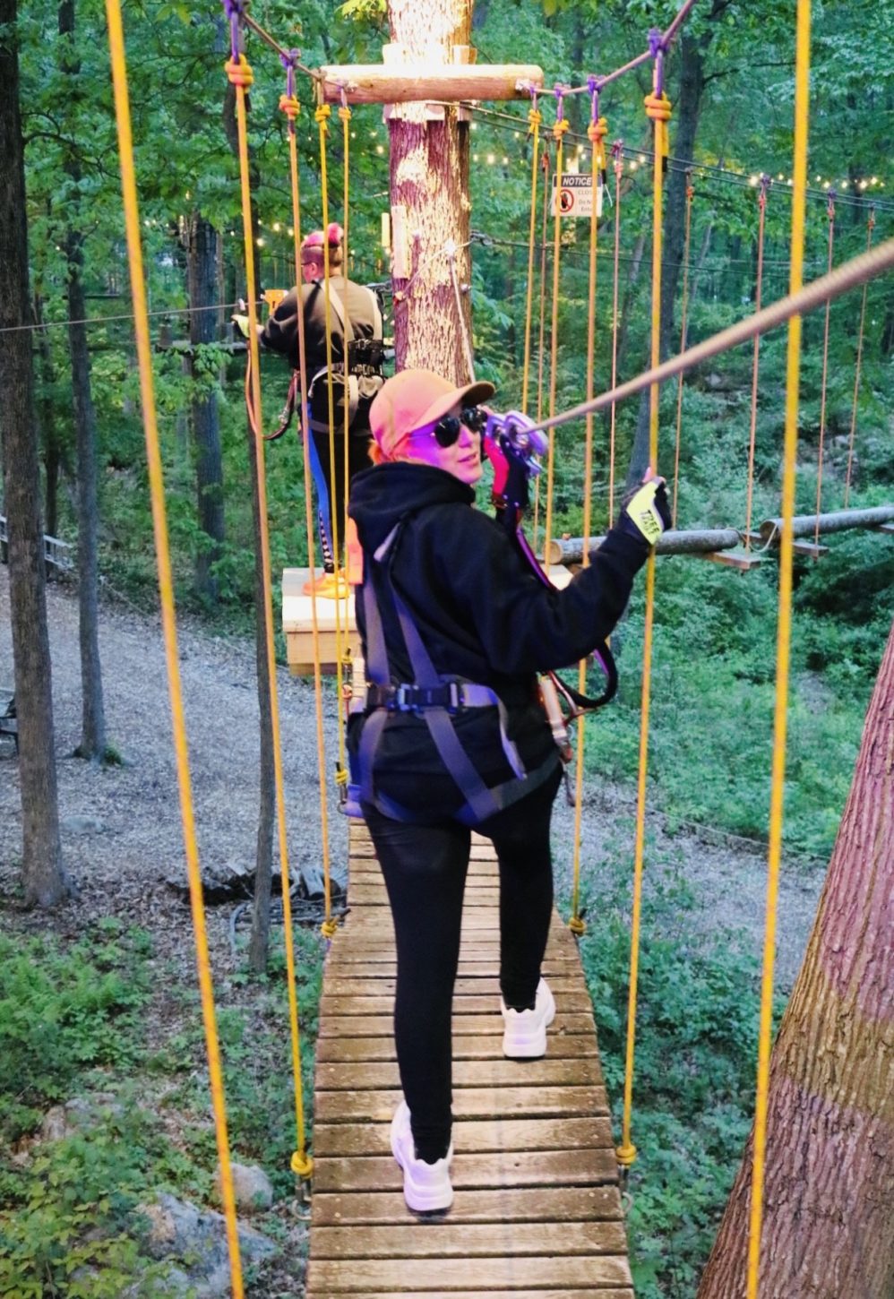 Courses - Mystic⼁TreeTrails Adventures, CT