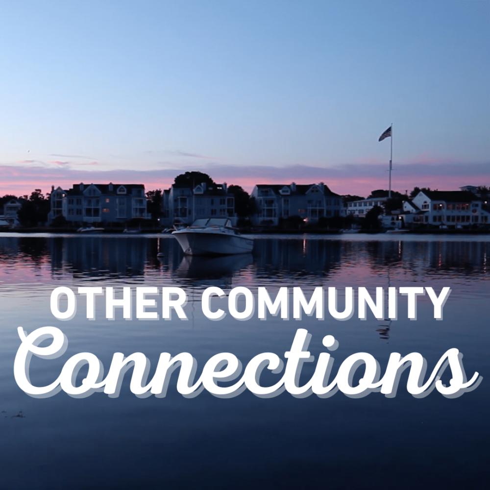 Packages Mystic | TreeTrails Adventures