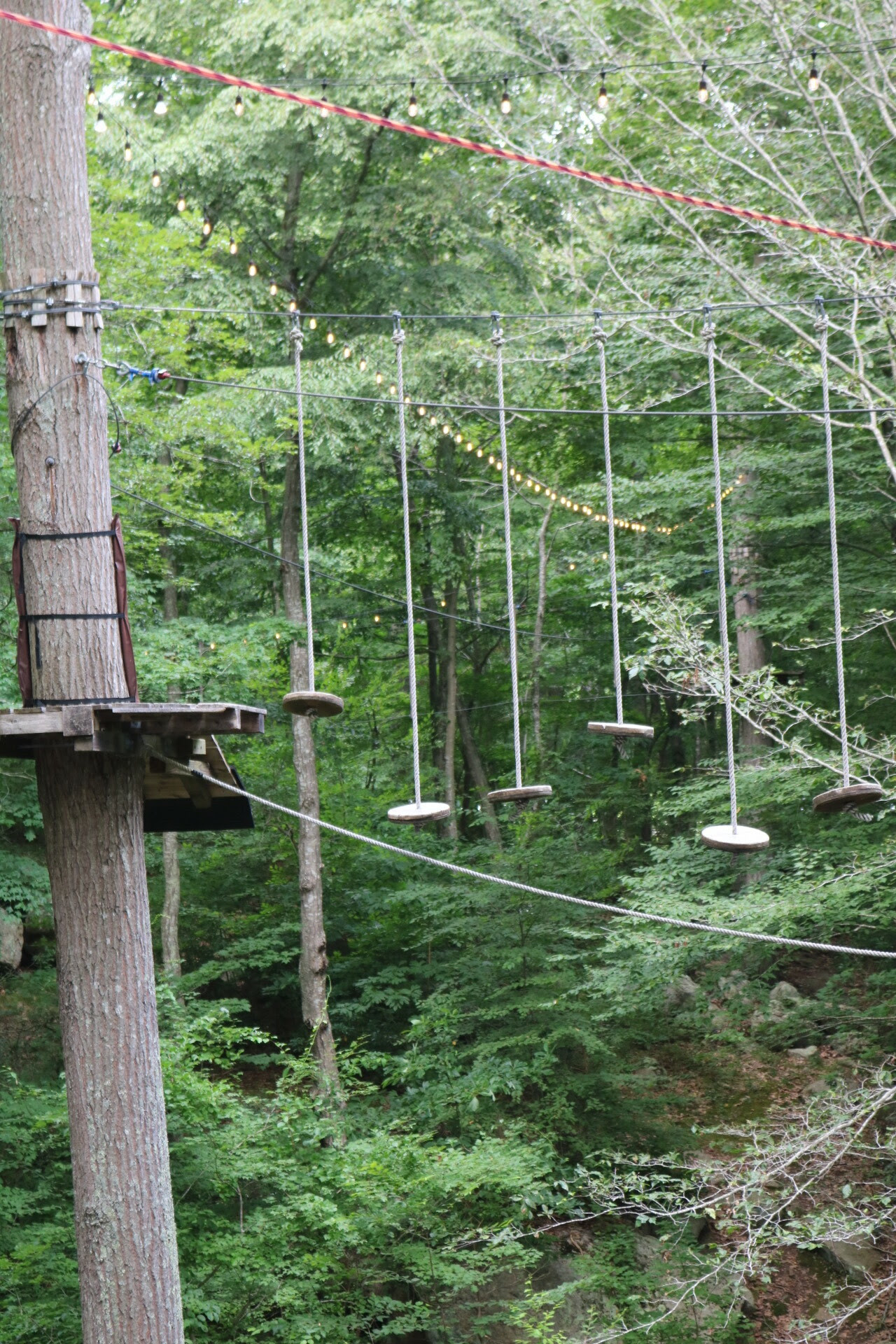 Courses - Mystic⼁TreeTrails Adventures, CT