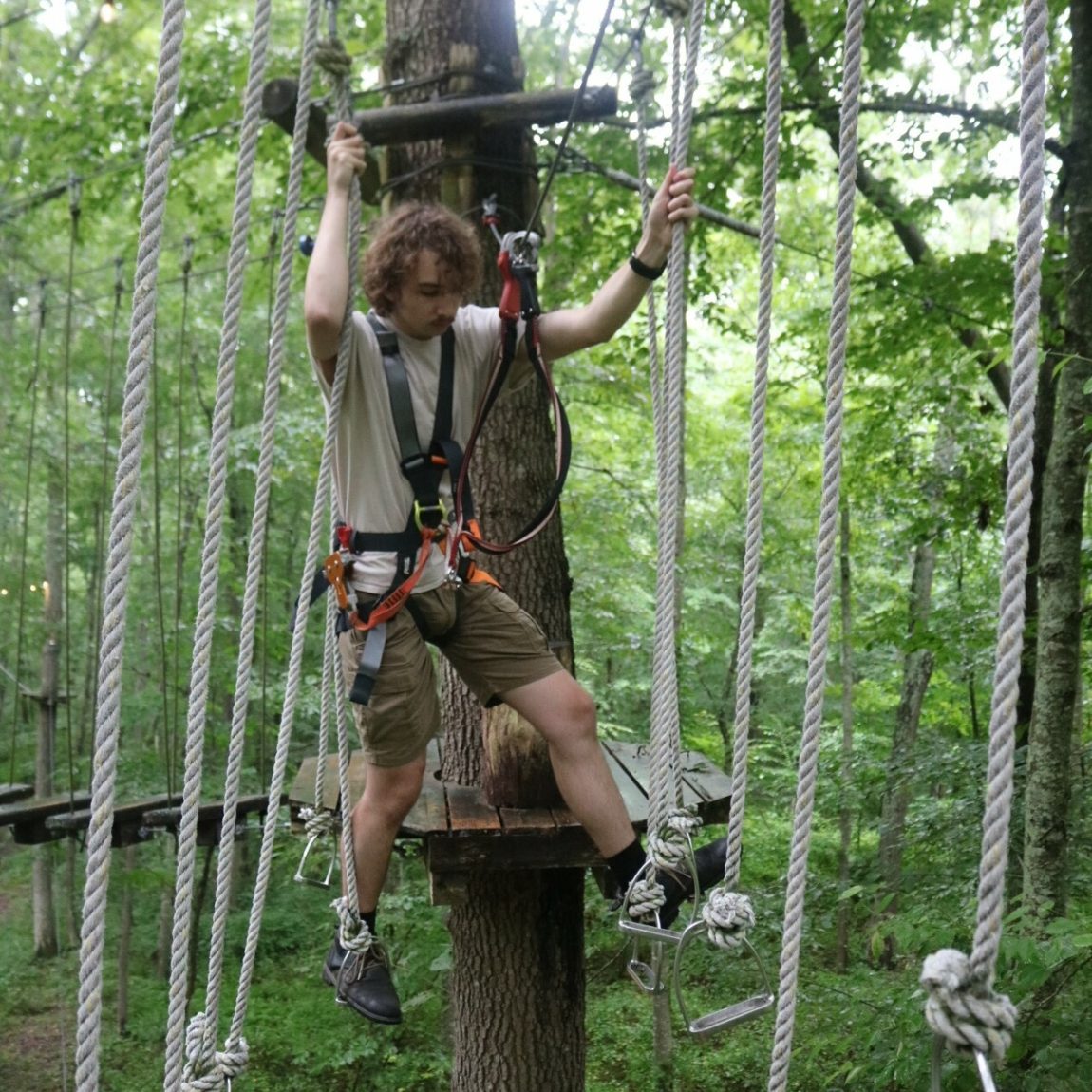 Courses - Mystic⼁TreeTrails Adventures, CT