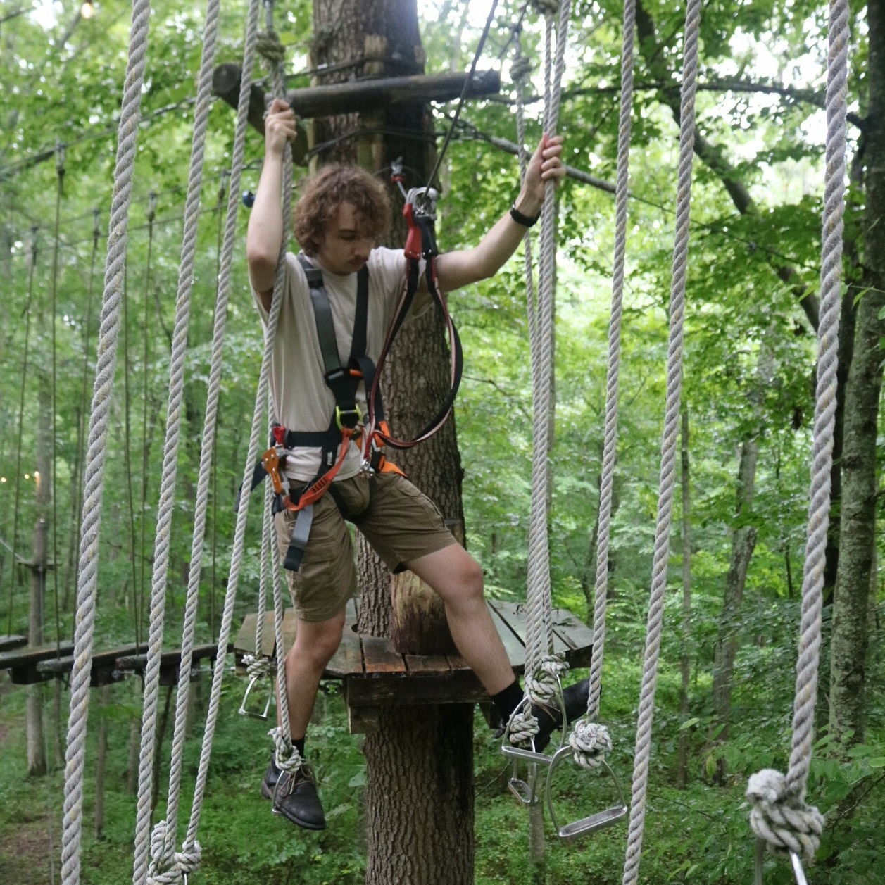 Courses - Mystic⼁TreeTrails Adventures, CT