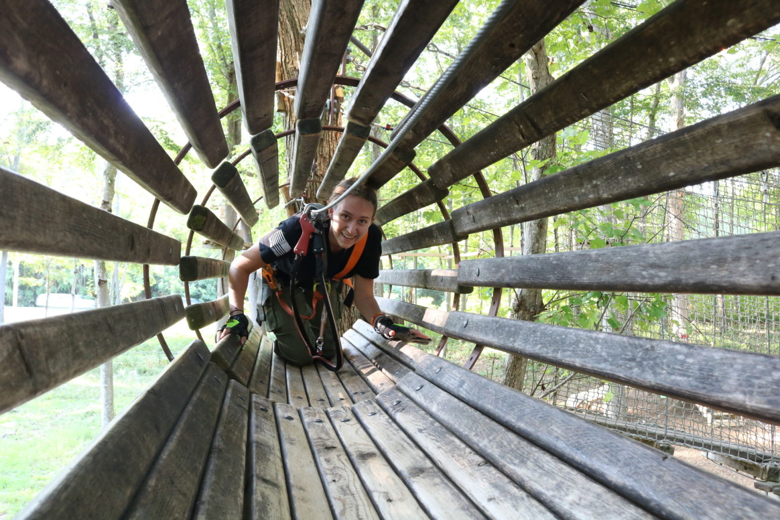 Courses - Mystic⼁TreeTrails Adventures, CT