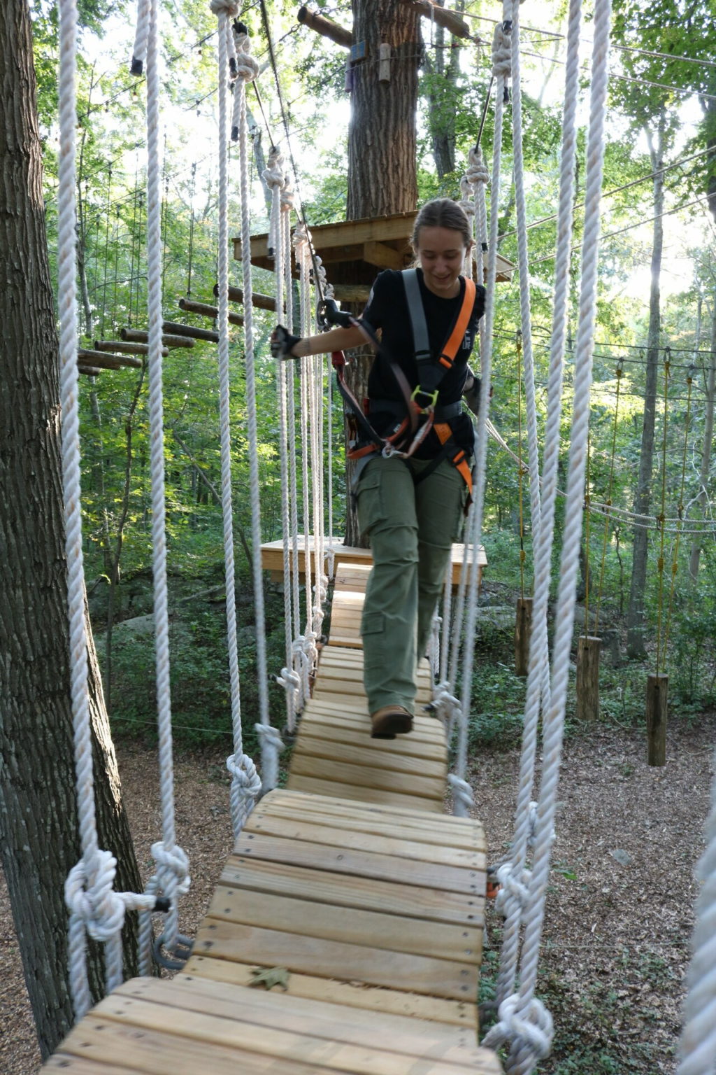 Courses - Mystic⼁TreeTrails Adventures, CT
