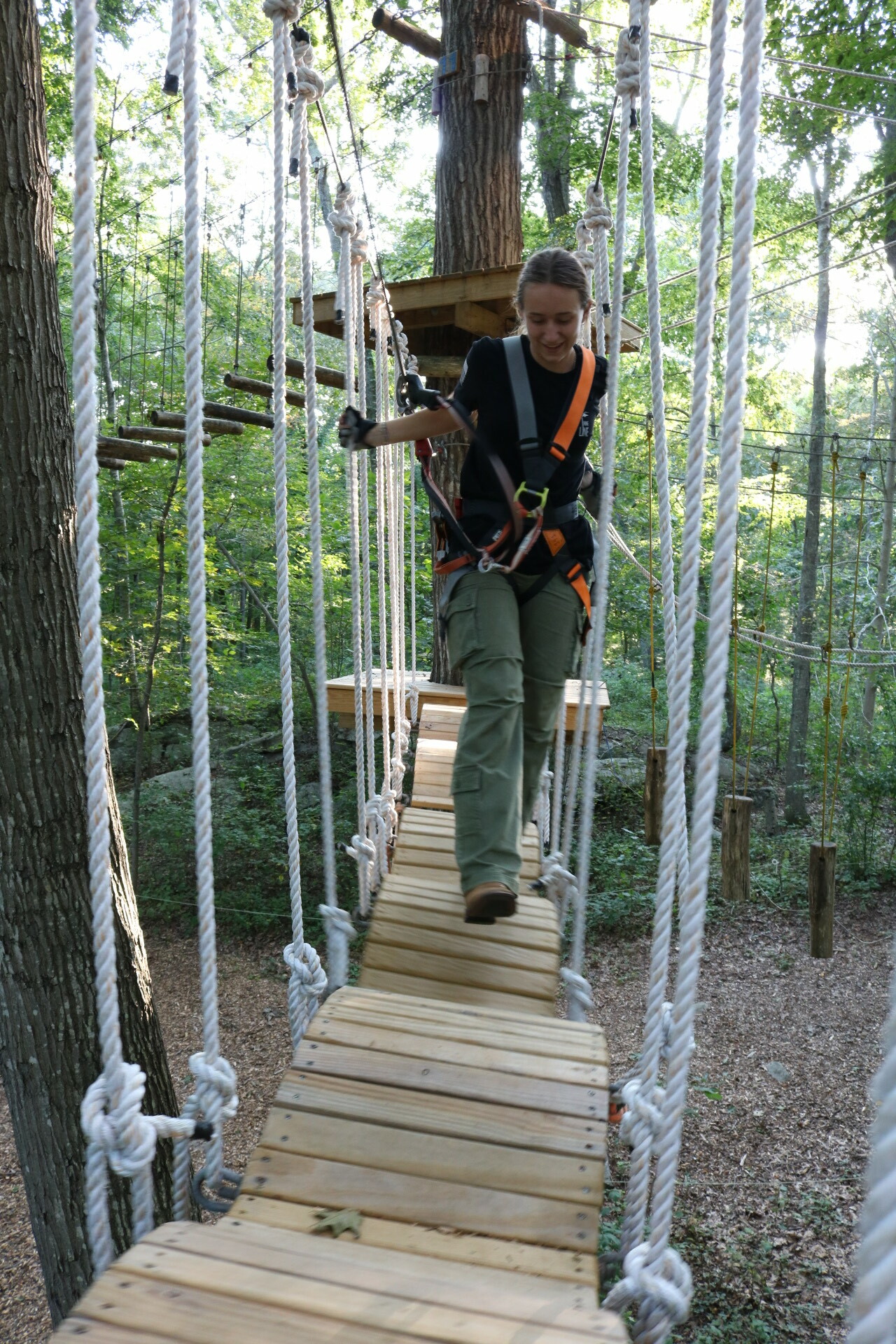 Courses - Mystic⼁TreeTrails Adventures, CT